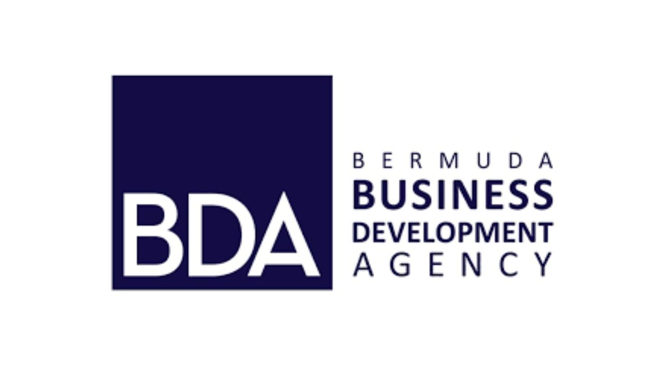 BDA releases end of year report | Captive International